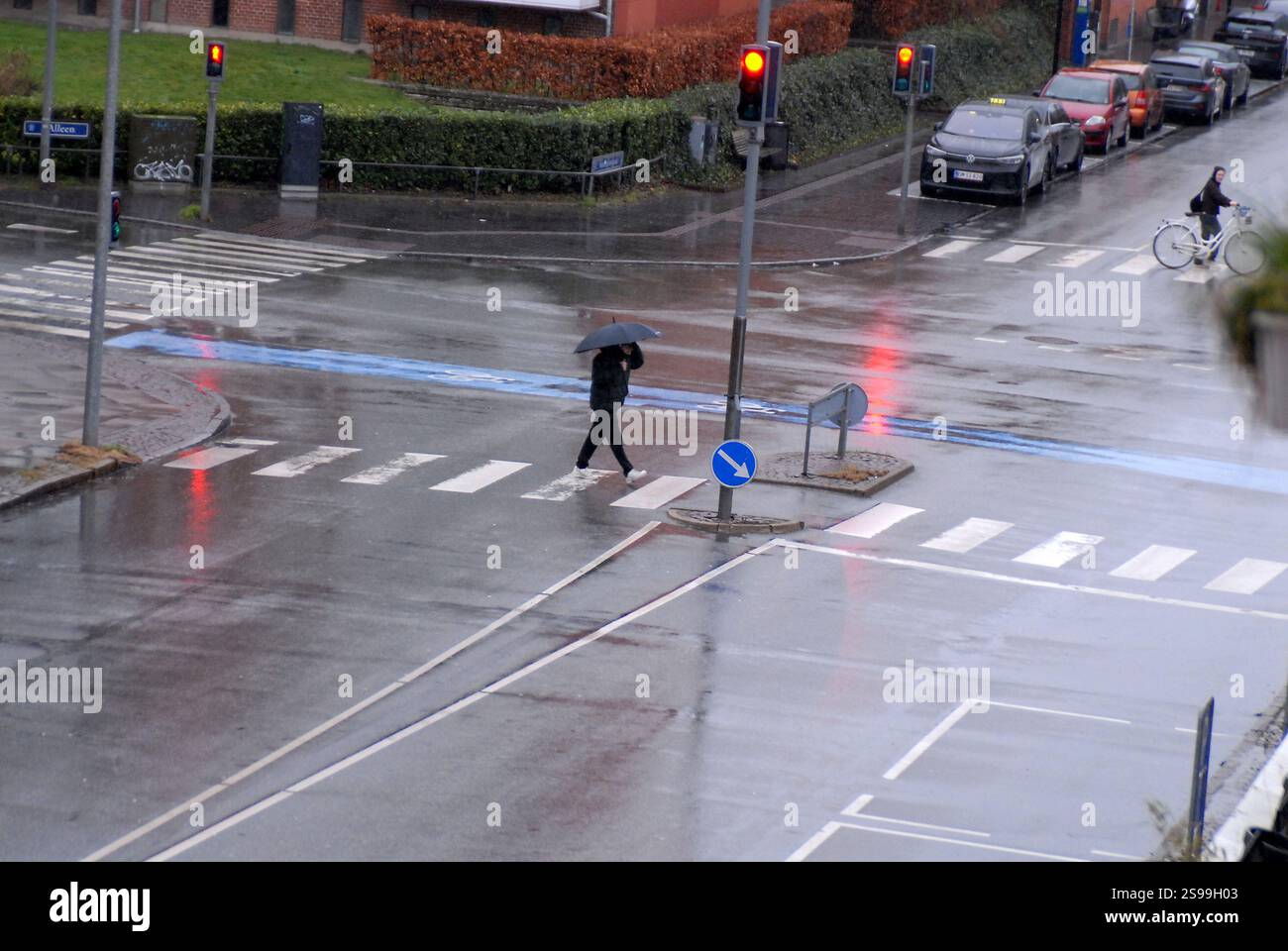 Copenhagen/ Denmark/25 JANUARY 2025/ Danish weather rain fall ans show ...