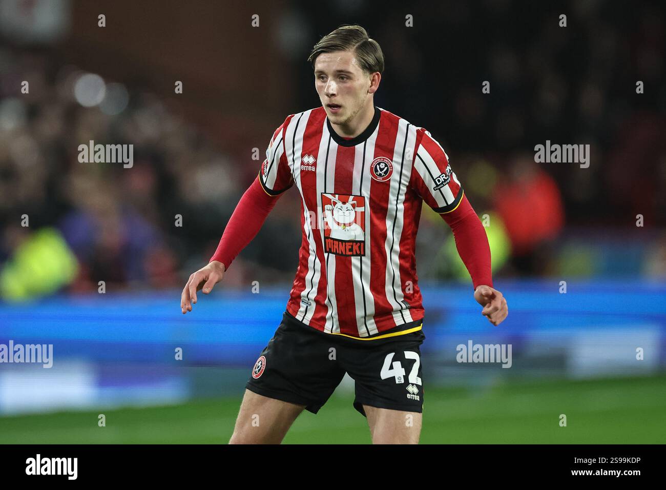 Sydie Peck of Sheffield United during the Sky Bet Championship match ...