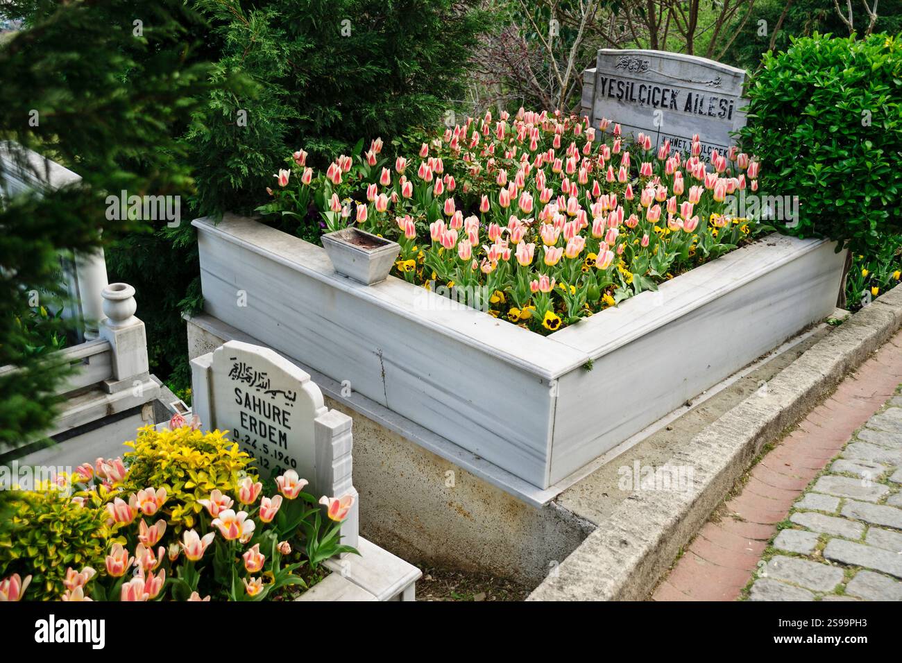 Graves and tulips in the Ottoman cemetery of Eyüp, Golden Horn ...