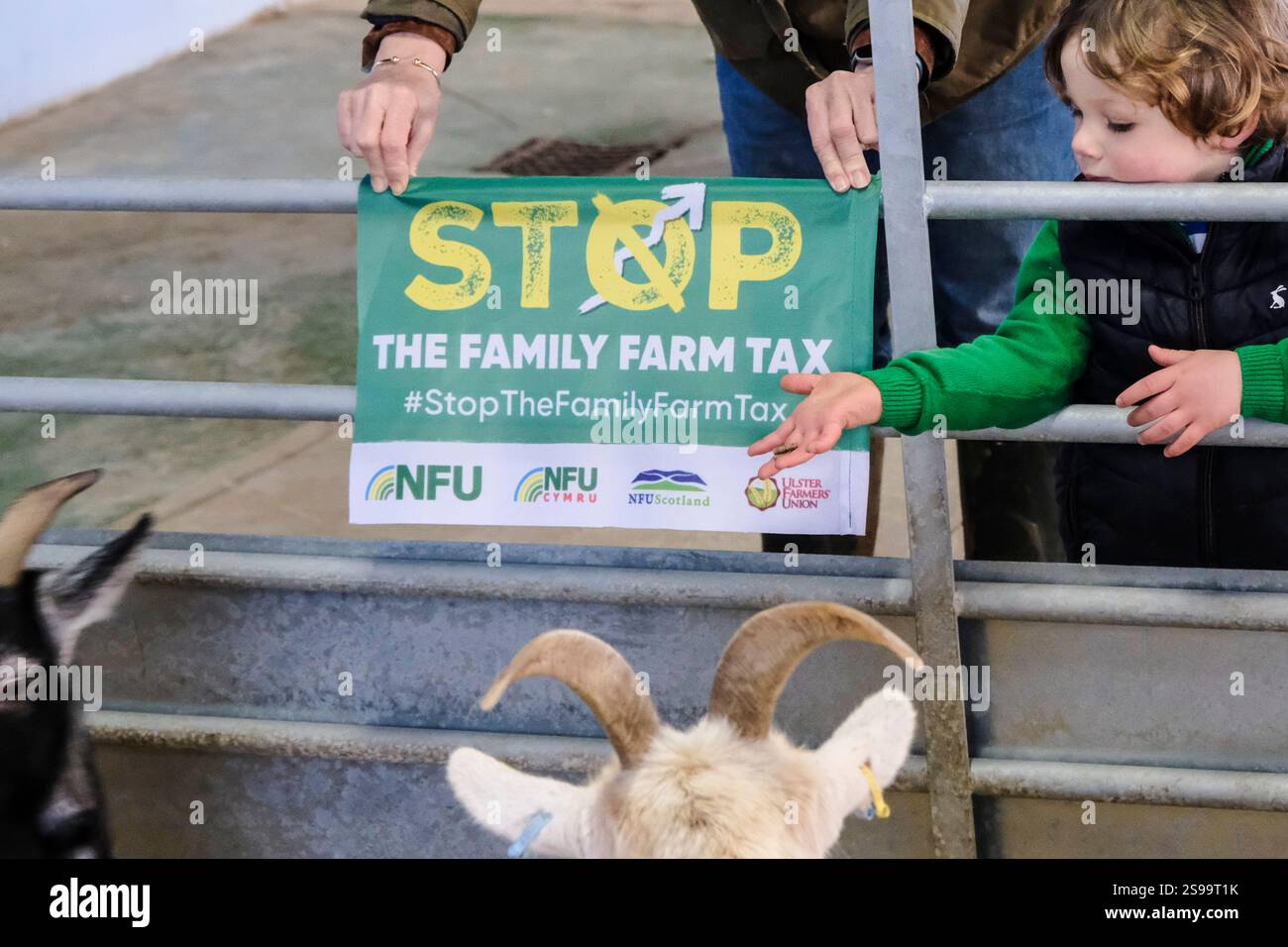 Berkeley, UK. 25th Jan 2025. Local farmers have organised a day of ...