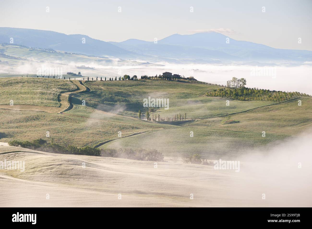 Foggy Landscape with Cypress Trees in Tuscany, Italy Stock Photo - Alamy