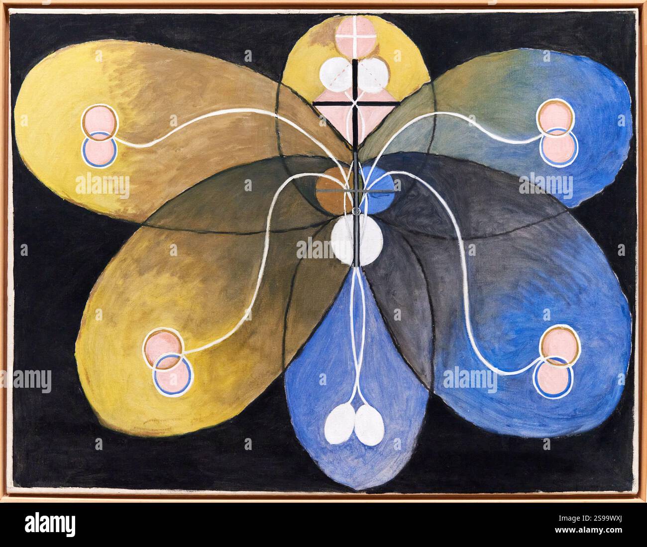 SERIE WUS / SJUSTJÄRNAN, The Seven-Pointed Star series, The Evolution ...