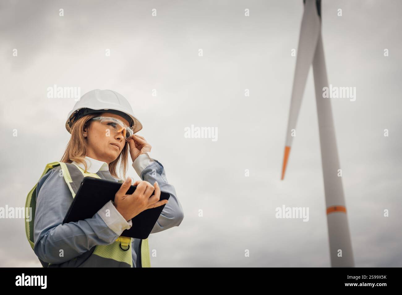 A dedicated and skilled professional woman engineer is currently at the ...