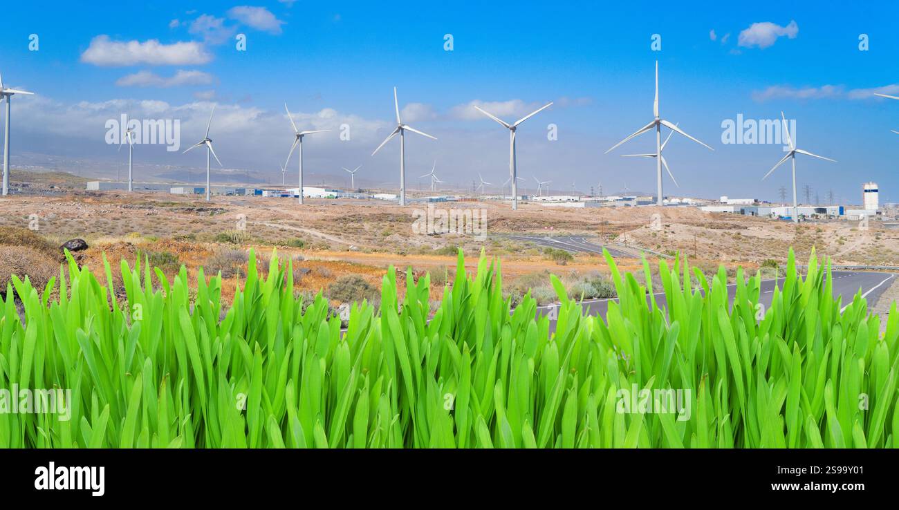 Wind energy concept Stock Photo - Alamy