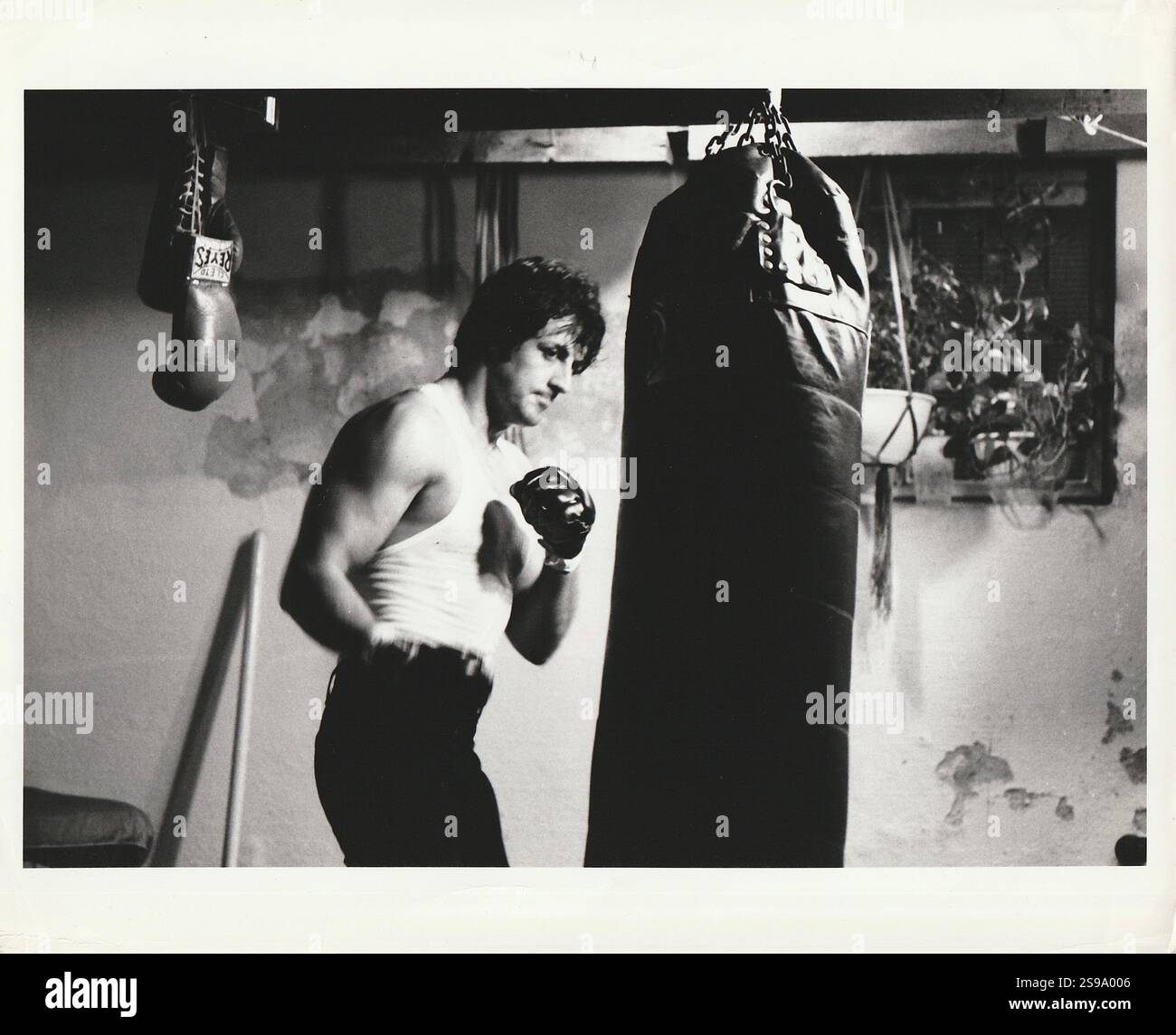 Rocky II (United Artists, 1979). Stallone's Rocky delivers a powerful ...