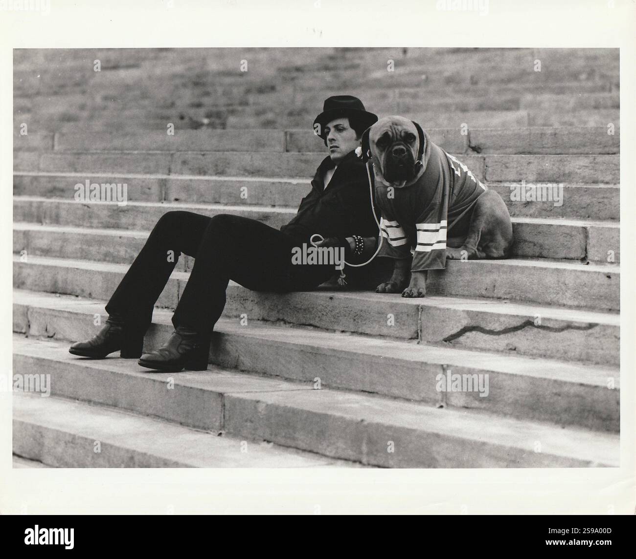 Rocky II (United Artists, 1979). Stallone's Rocky delivers a powerful ...