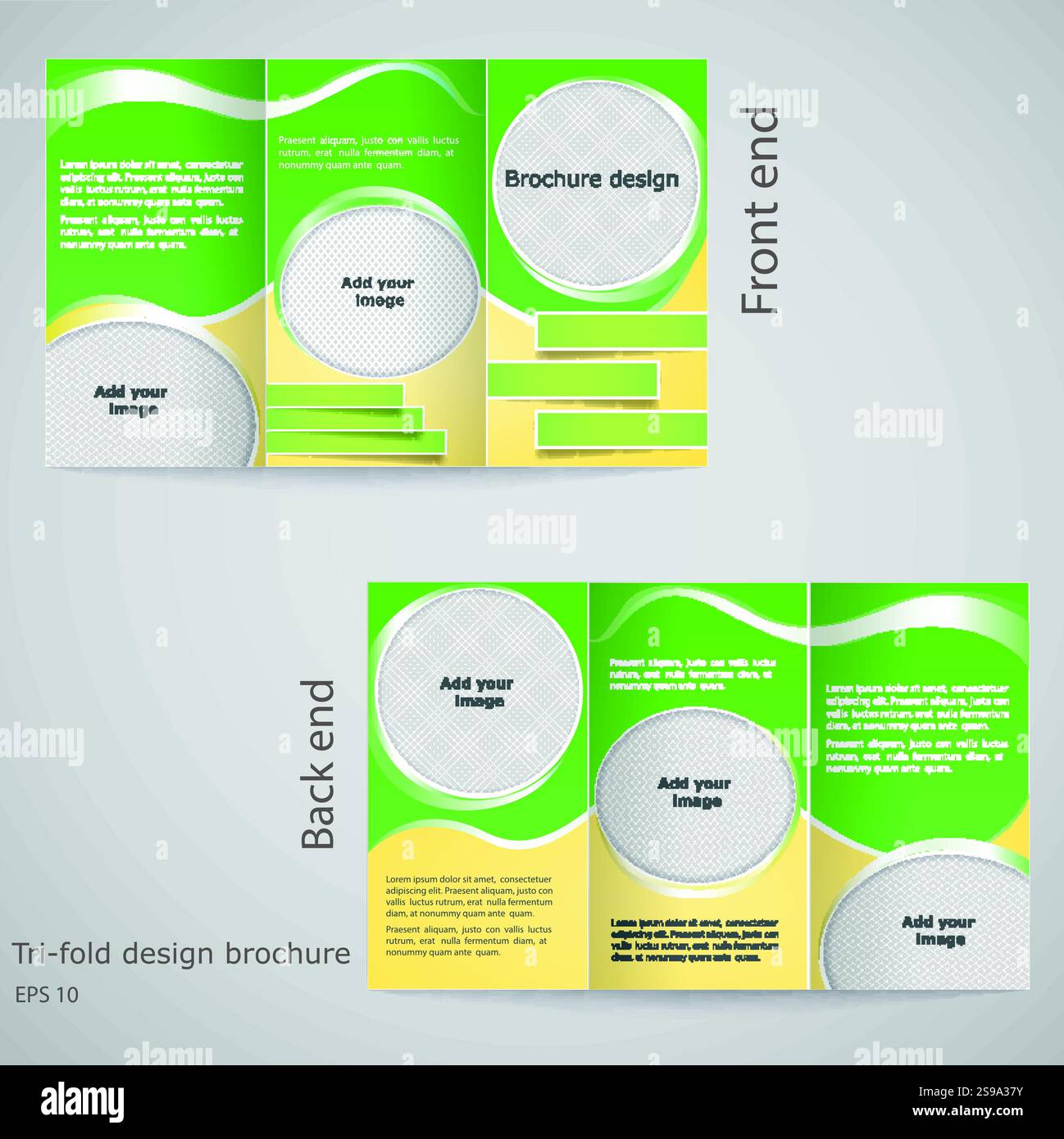 Tri-fold brochure design. Brochure template design with yellow and ...