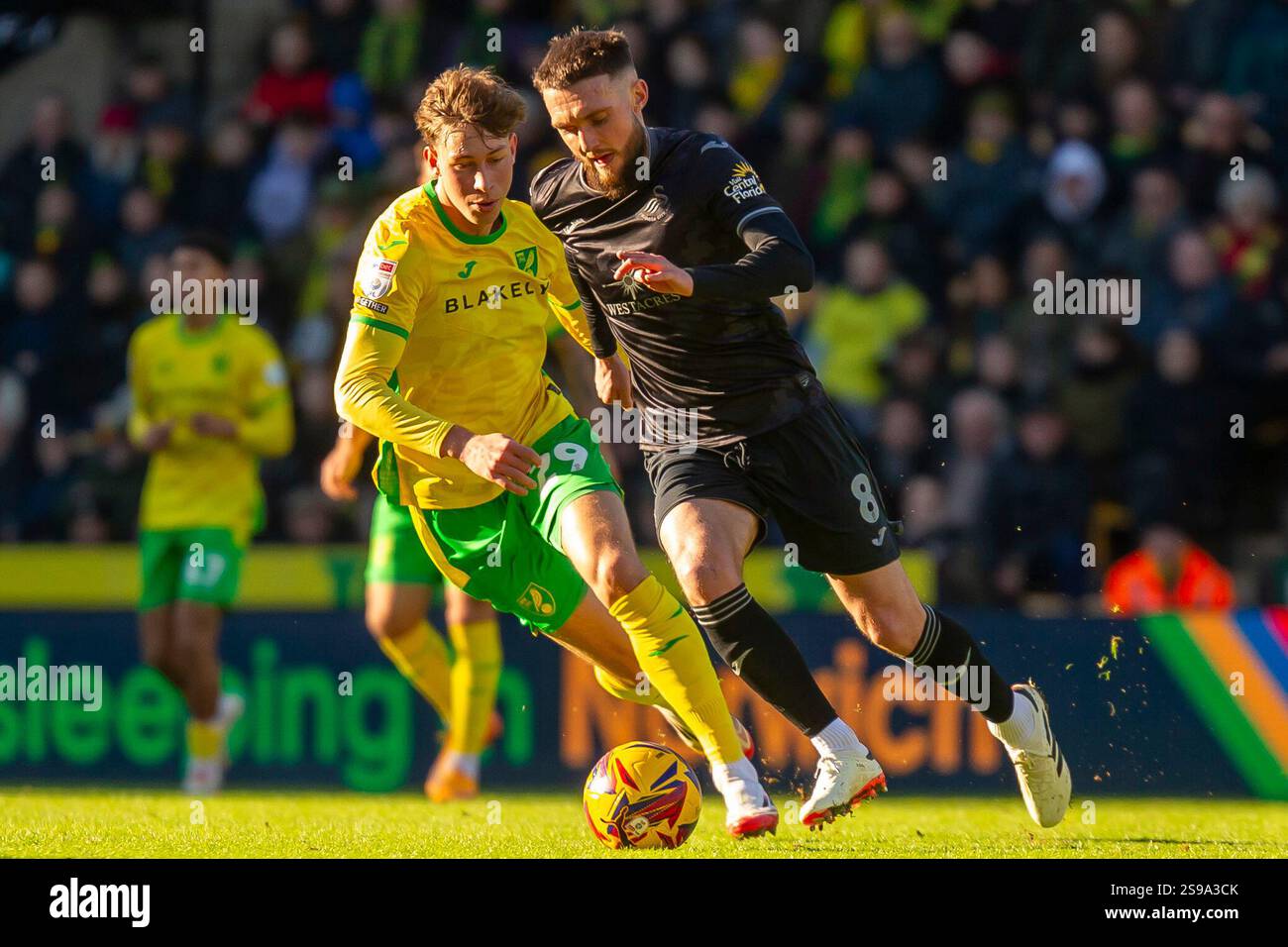 Matt Grimes of Swansea City is pressured by Oscar Schwartau of Norwich ...