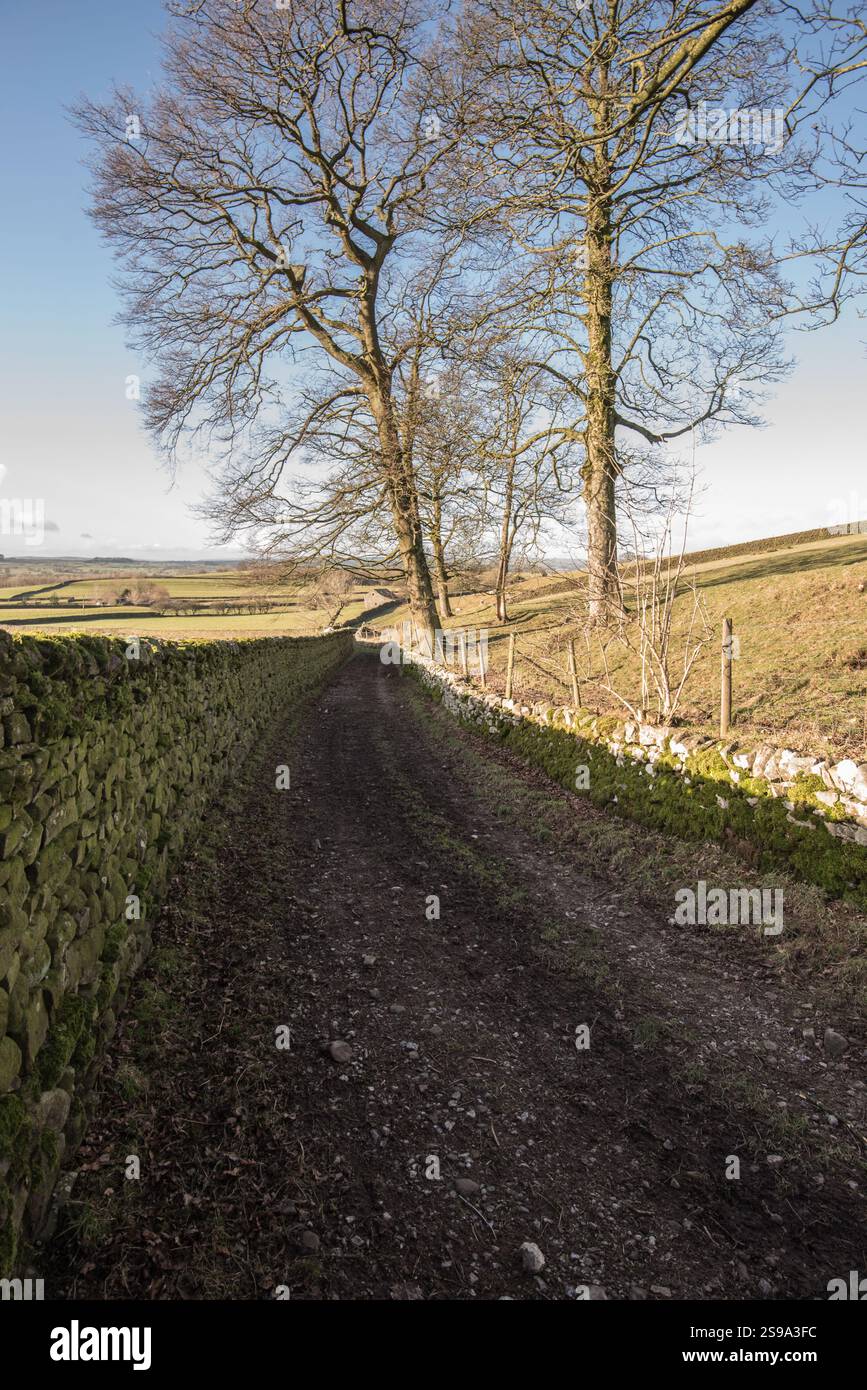 Linear walk in long preston hi-res stock photography and images - Alamy