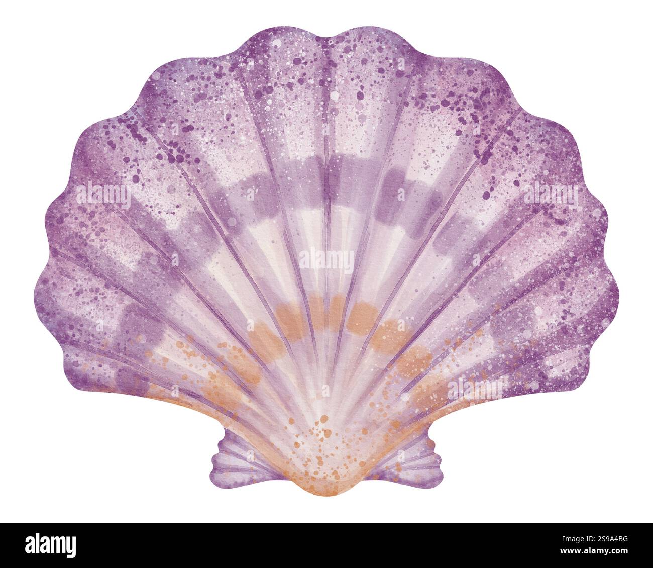 Watercolor illustration of purple Seashell for childish greeting cards ...