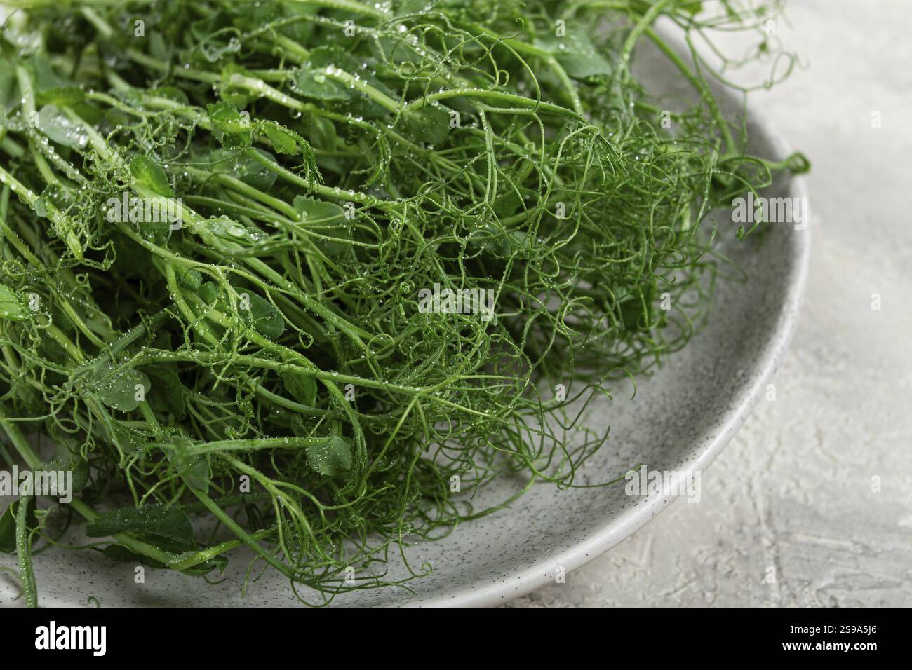 Showcasing delicate green shoots hi-res stock photography and images ...