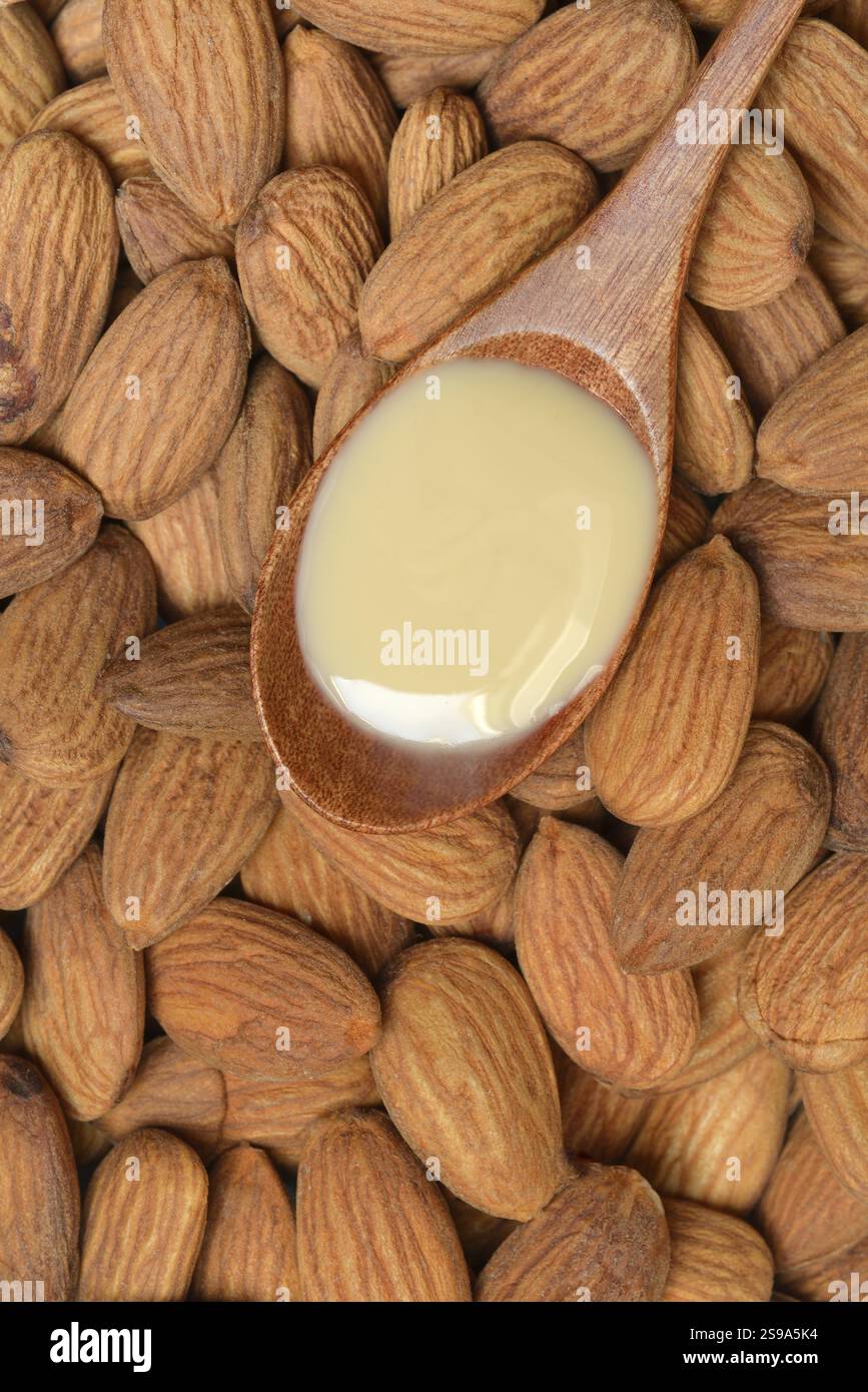 Almond paste in wooden spoon and almonds, white almond cream Stock Photo - Alamy