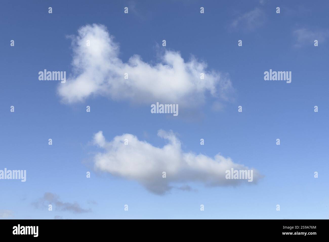 White clouds Cumulus in the formation phase under blue sky ...