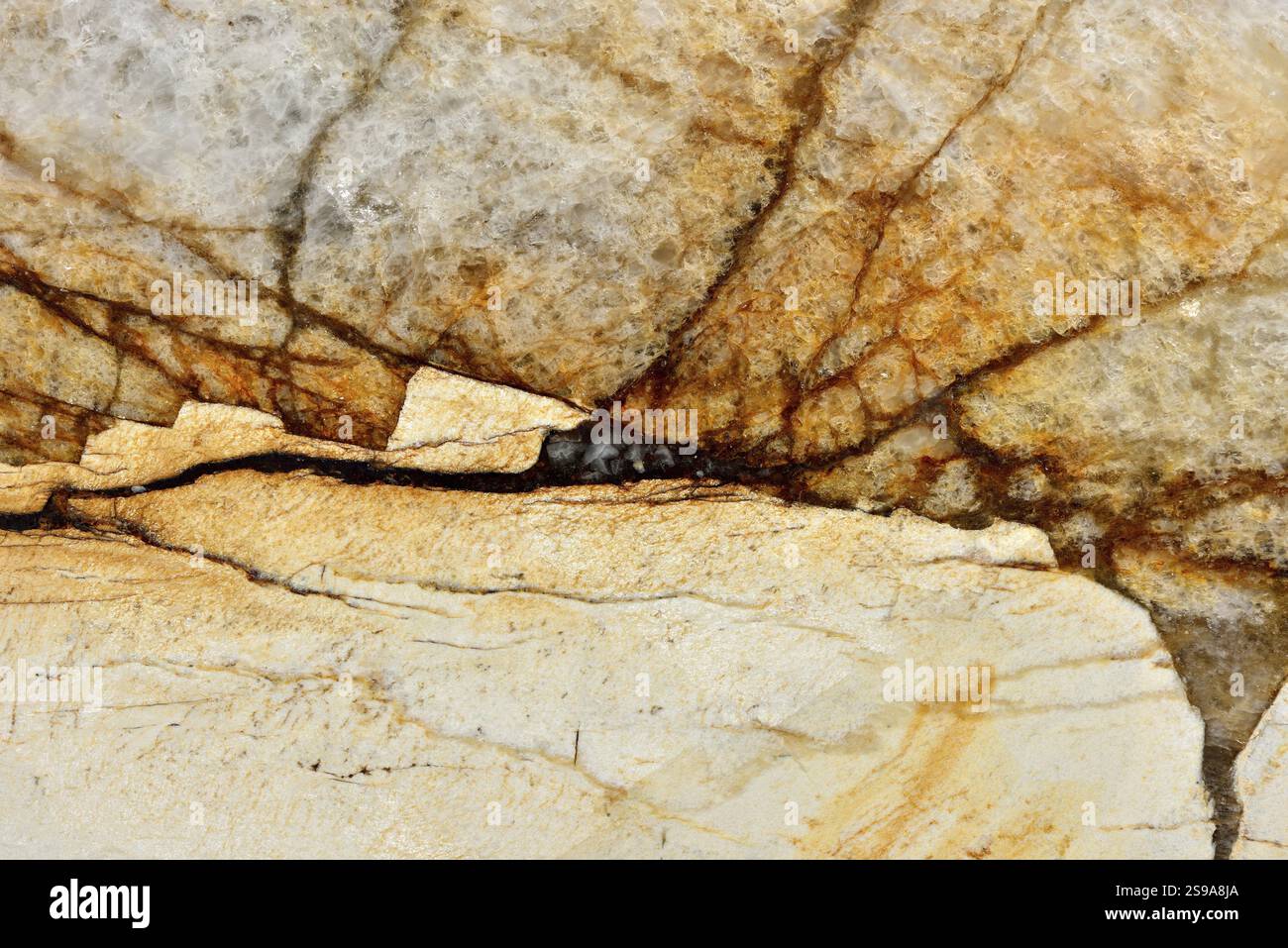 Real natural pattern of quartzite beige colour polished disc mineral ...