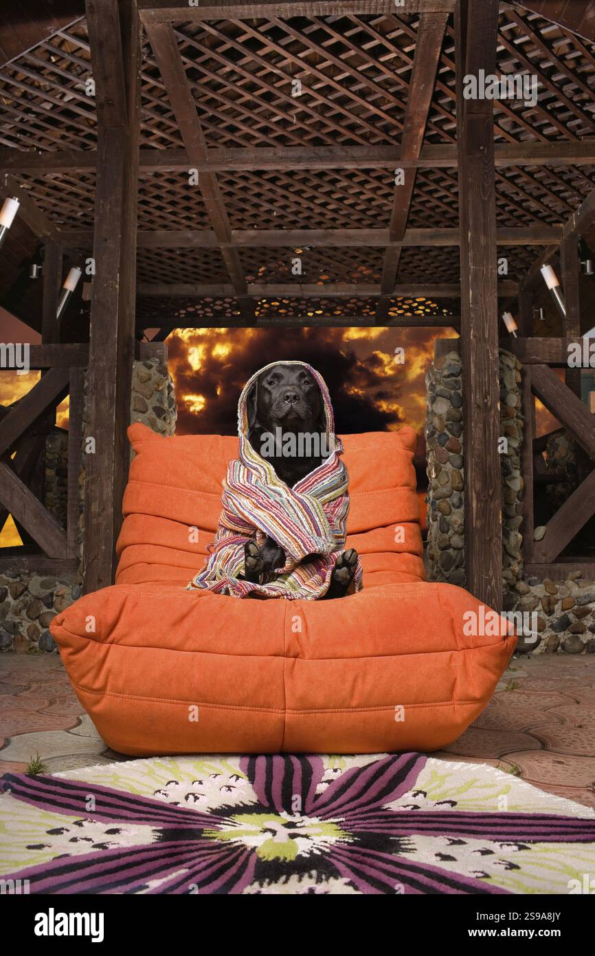 Comforting flame view hi-res stock photography and images - Alamy