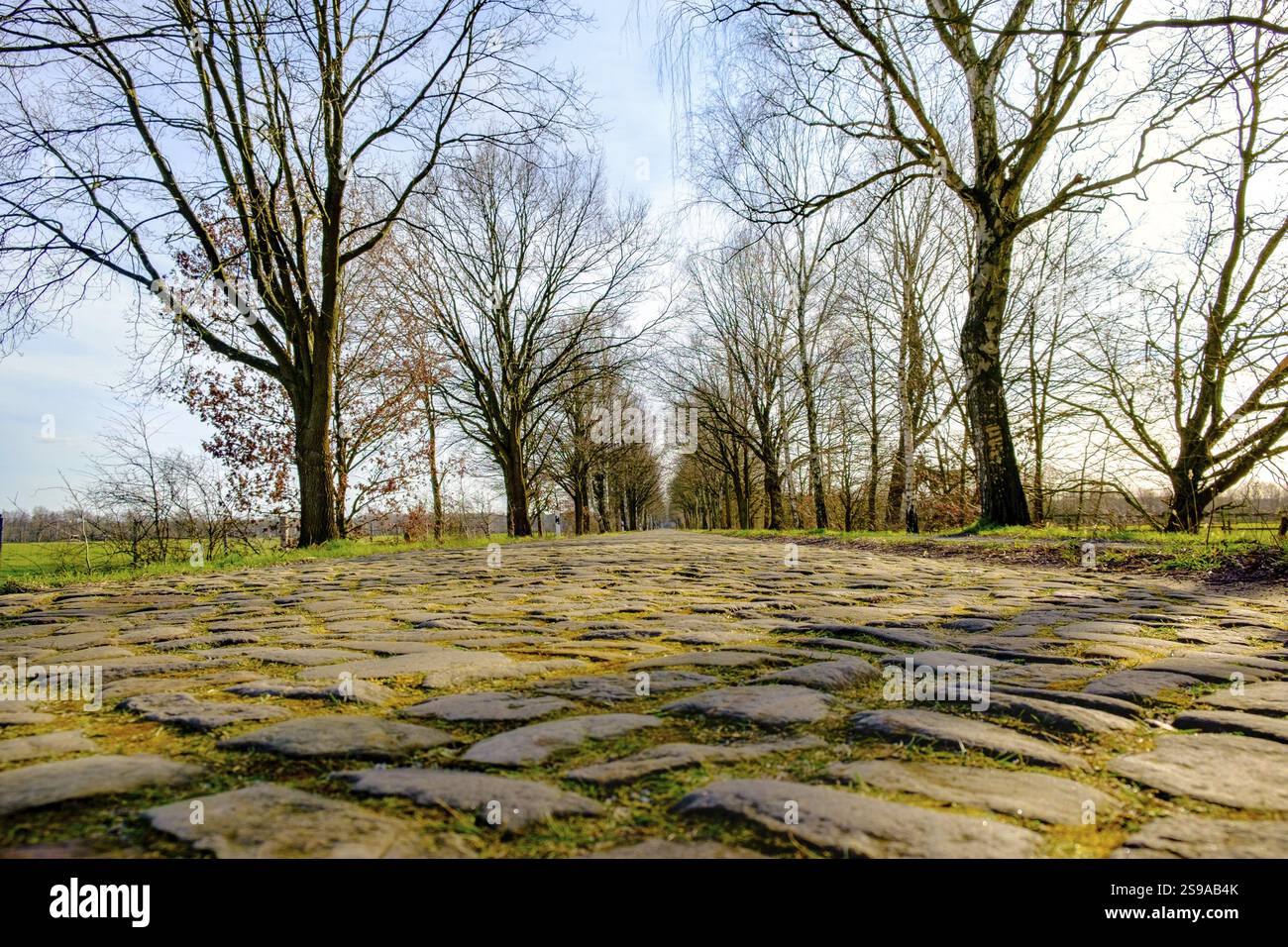 Street paved with cobblestones Old cobblestone path in perspective ...