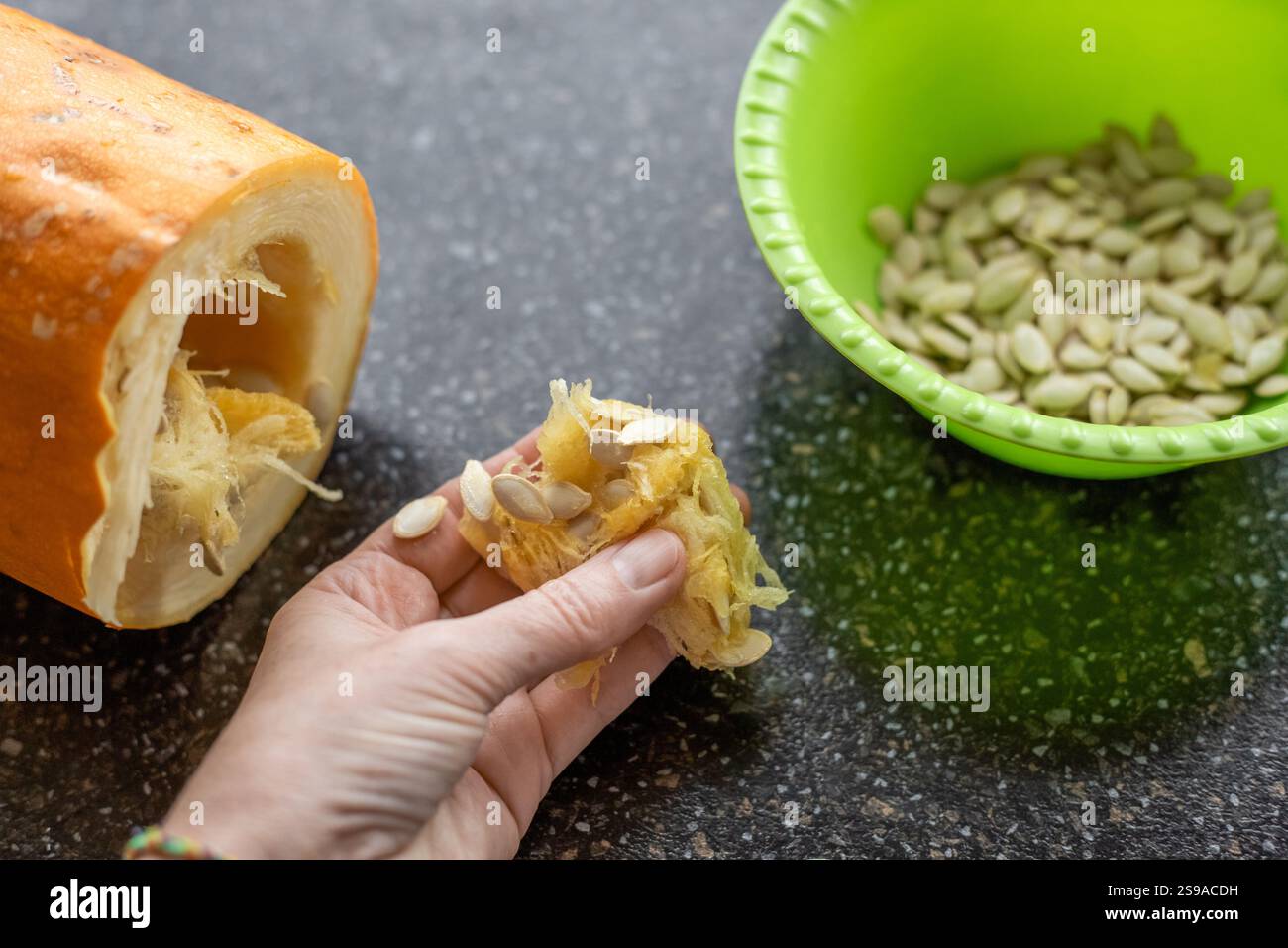 Harvesting squash seeds. A woman uses her hand to pull out the pulp ...