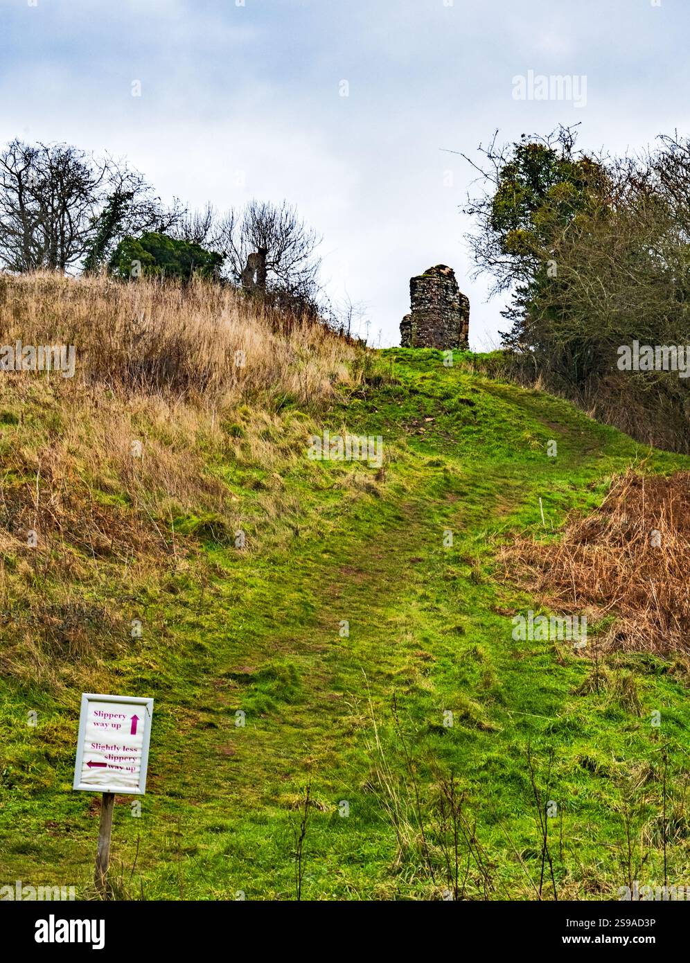 Robert de chandos i hi-res stock photography and images - Alamy