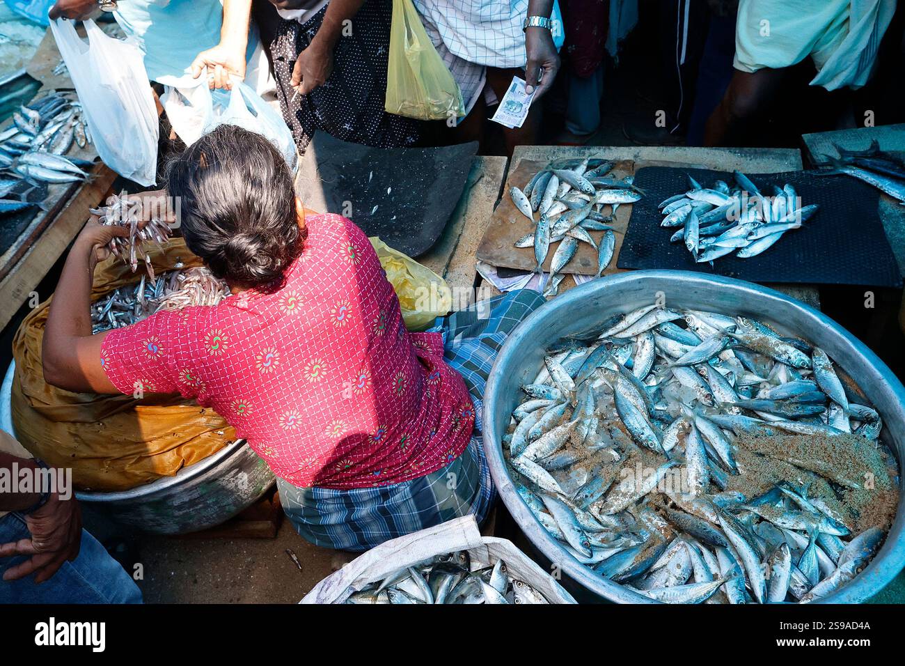 Fish market in Varkala, Kerala, India Stock Photo - Alamy