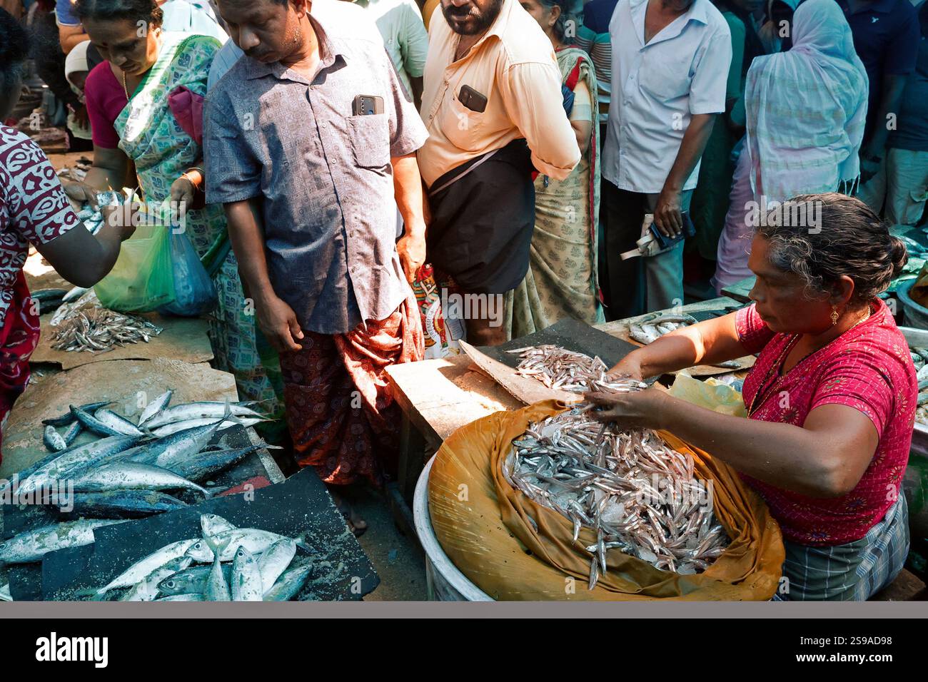 Fish market in Varkala, Kerala, India Stock Photo - Alamy
