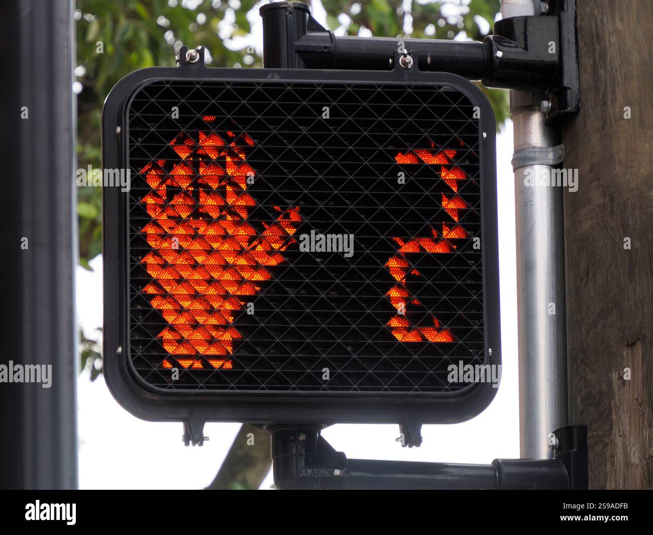 A 2 second stop red light dont walk pedestrian traffic light detail ...