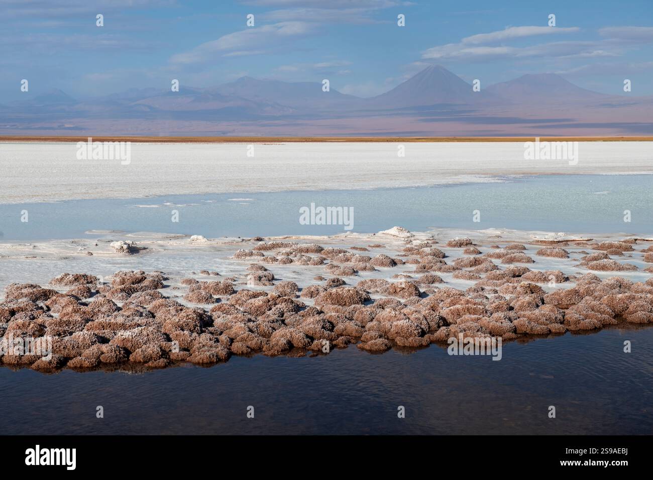 Salt formation on the laguna tebinquiche Stock Photo - Alamy