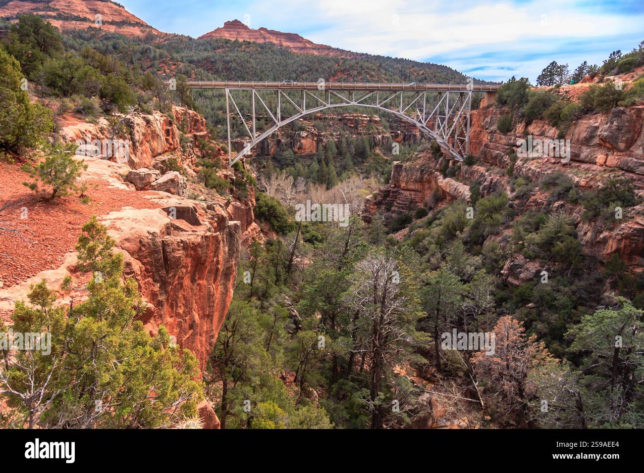 A bridge spans a canyon with a lush green forest on either side. The ...
