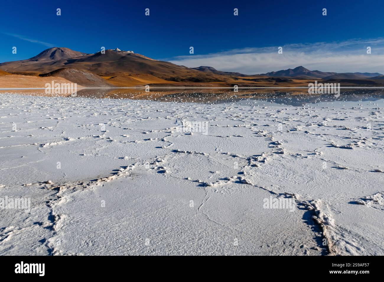 White salt hexagons on laguna tuyajto Stock Photo - Alamy