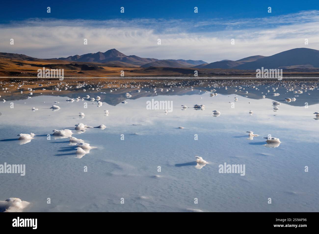 Laguna tuyajto and atacama mountains on a pale morning Stock Photo - Alamy