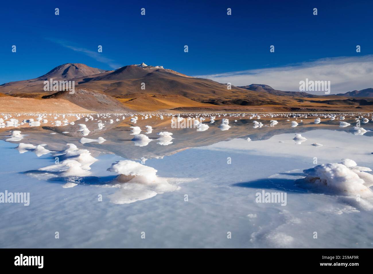 Details of salt rocks on laguna tuyajto in atacama region Stock Photo ...