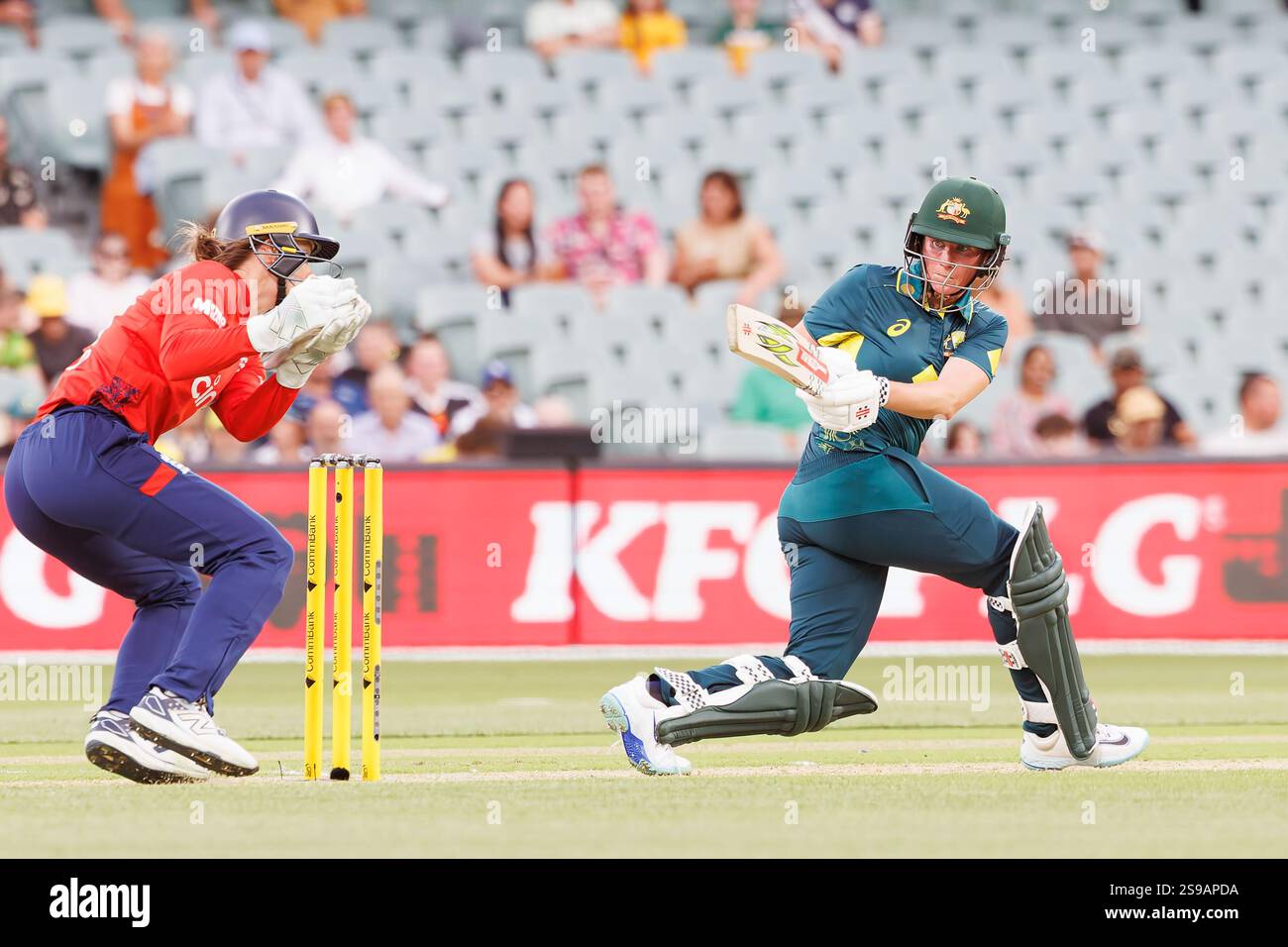 Cricket t20 2025 hi-res stock photography and images - Alamy