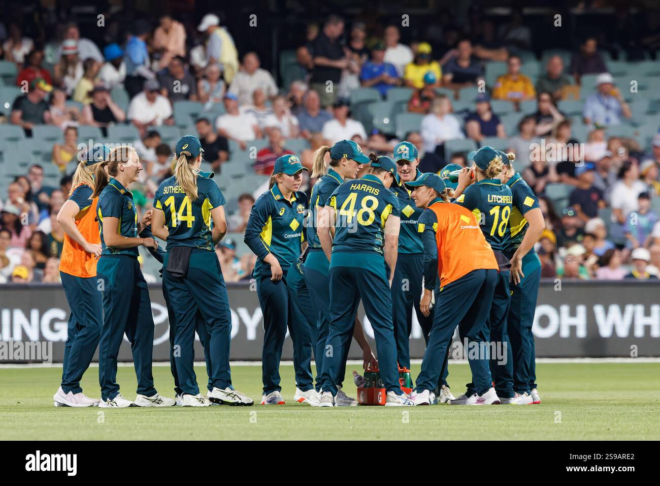 Wicket huddle hi-res stock photography and images - Alamy