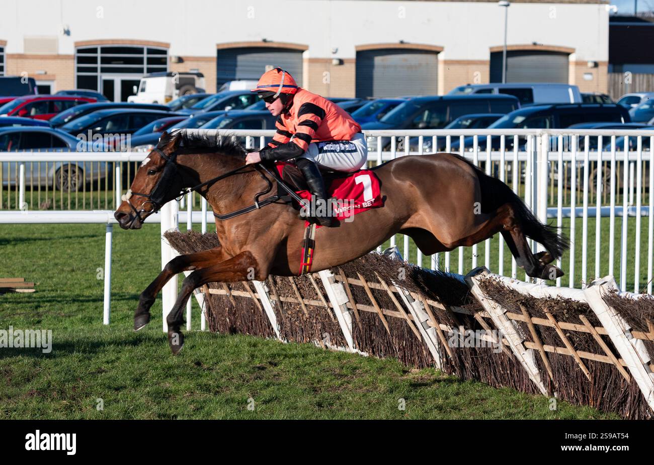 Mrs jessica harrington hi-res stock photography and images - Alamy