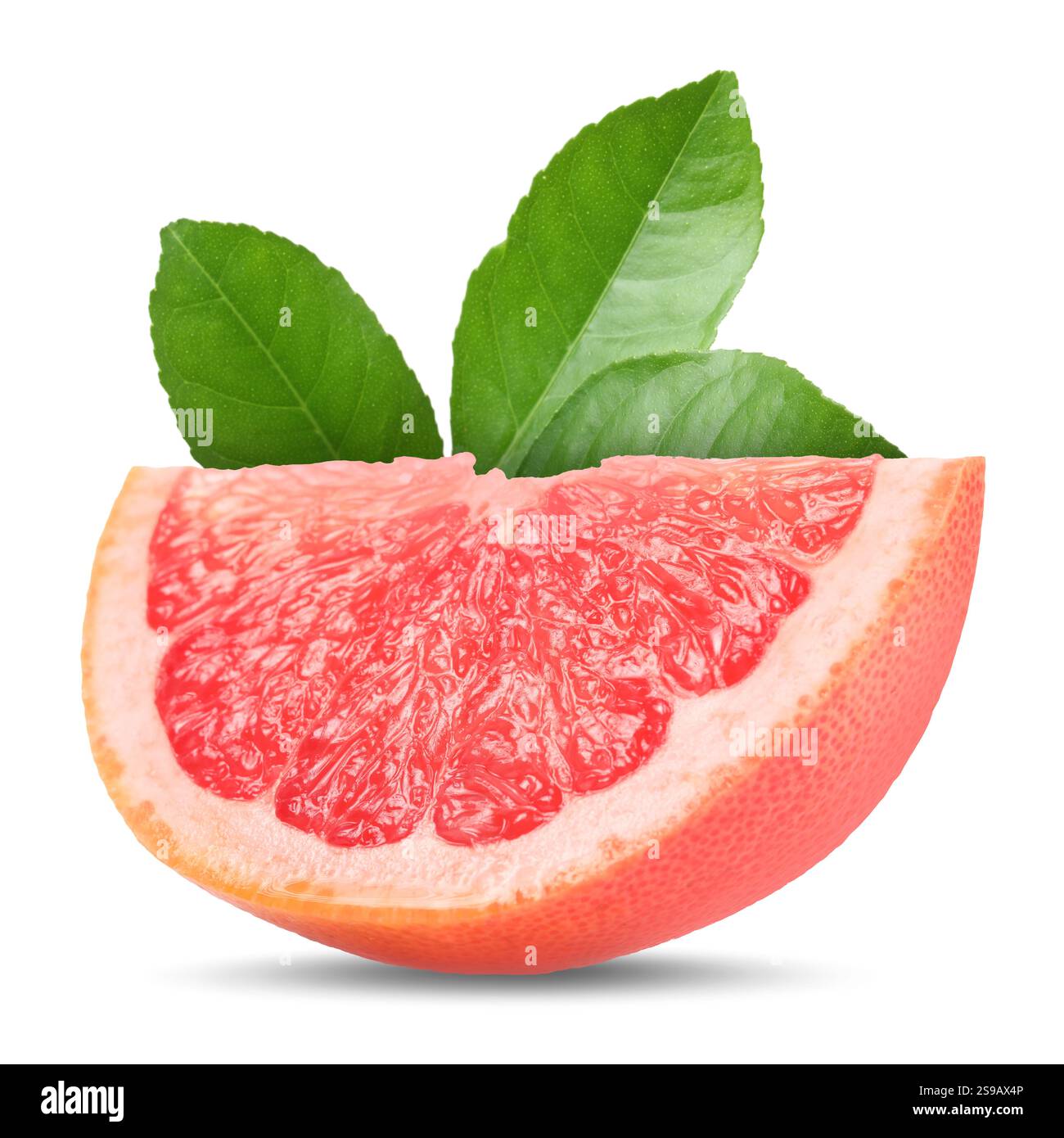 Juicy grapefruit slice and citrus plant branch isolated on white Stock ...