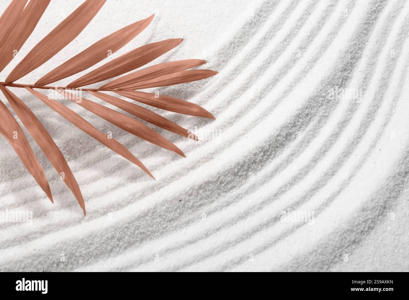 Leaf in mocha mousse shade and wave pattern on white sand. Trendy color ...