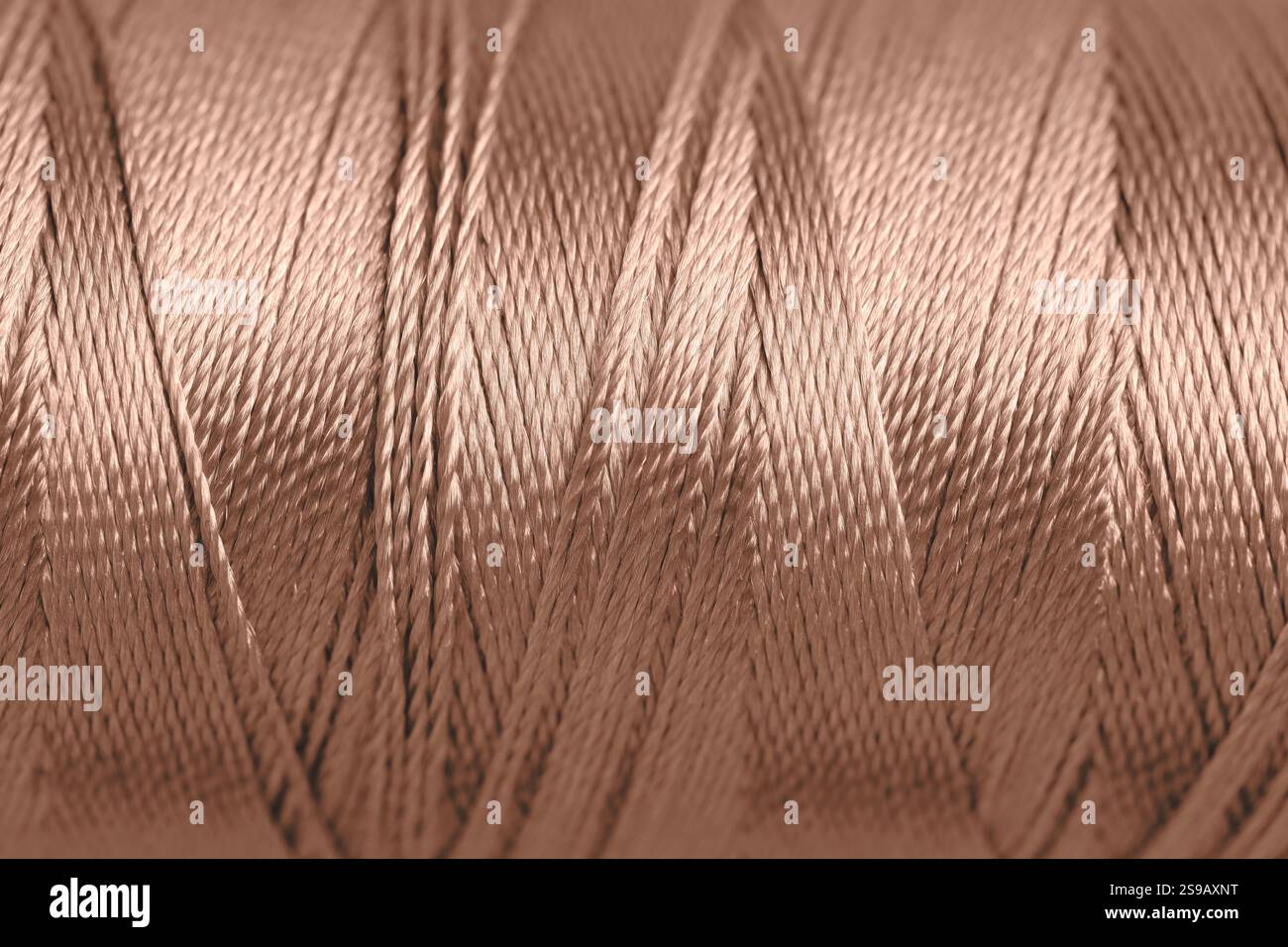 Sewing thread in mocha mousse shade, closeup. Trendy color of 2025 year ...