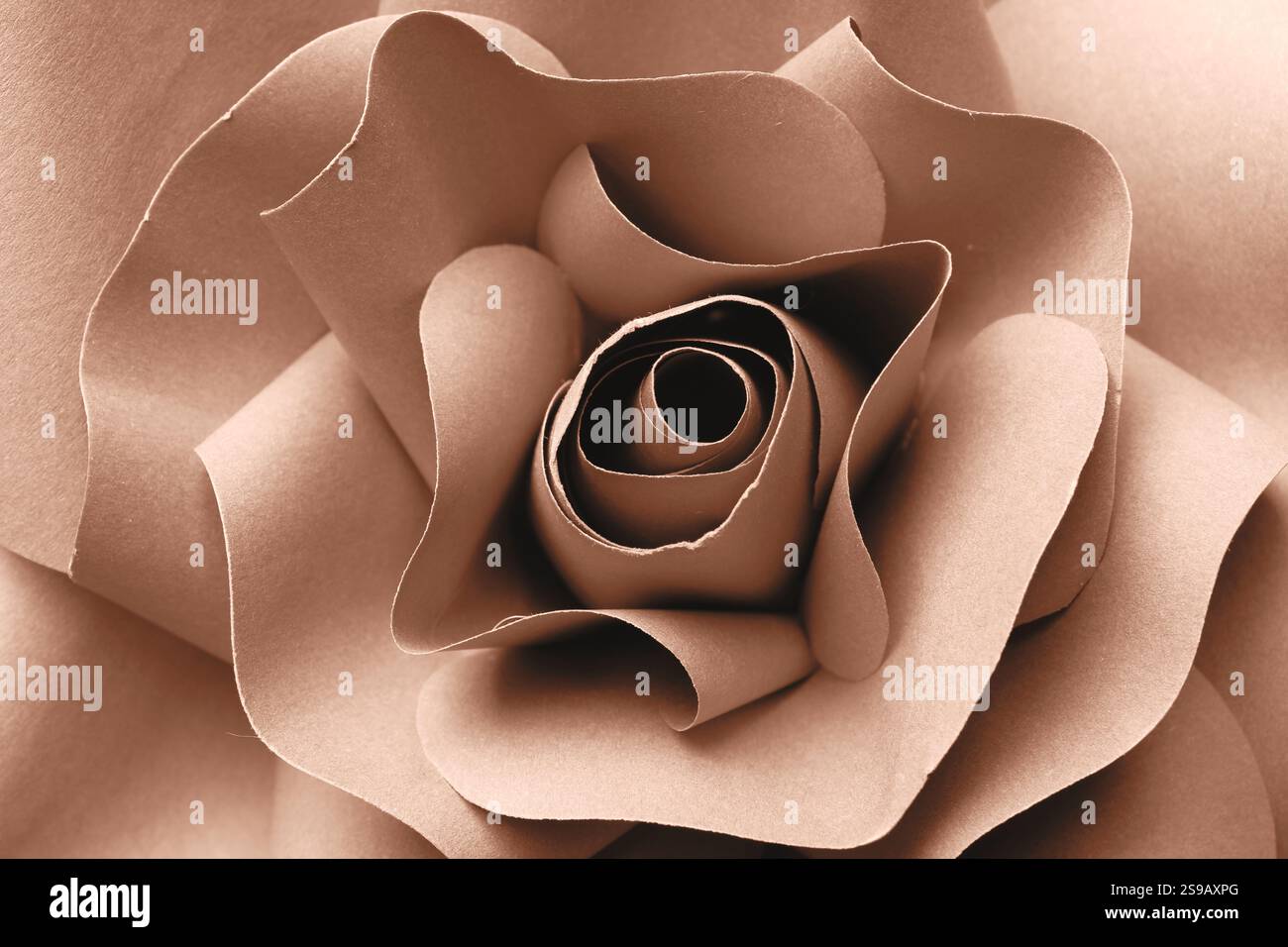 Beautiful paper rose, closeup. Toned in mocha mousse shade. Color of ...
