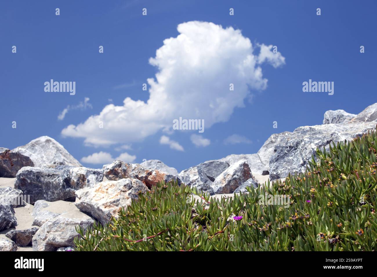 Rock slide hi-res stock photography and images - Alamy