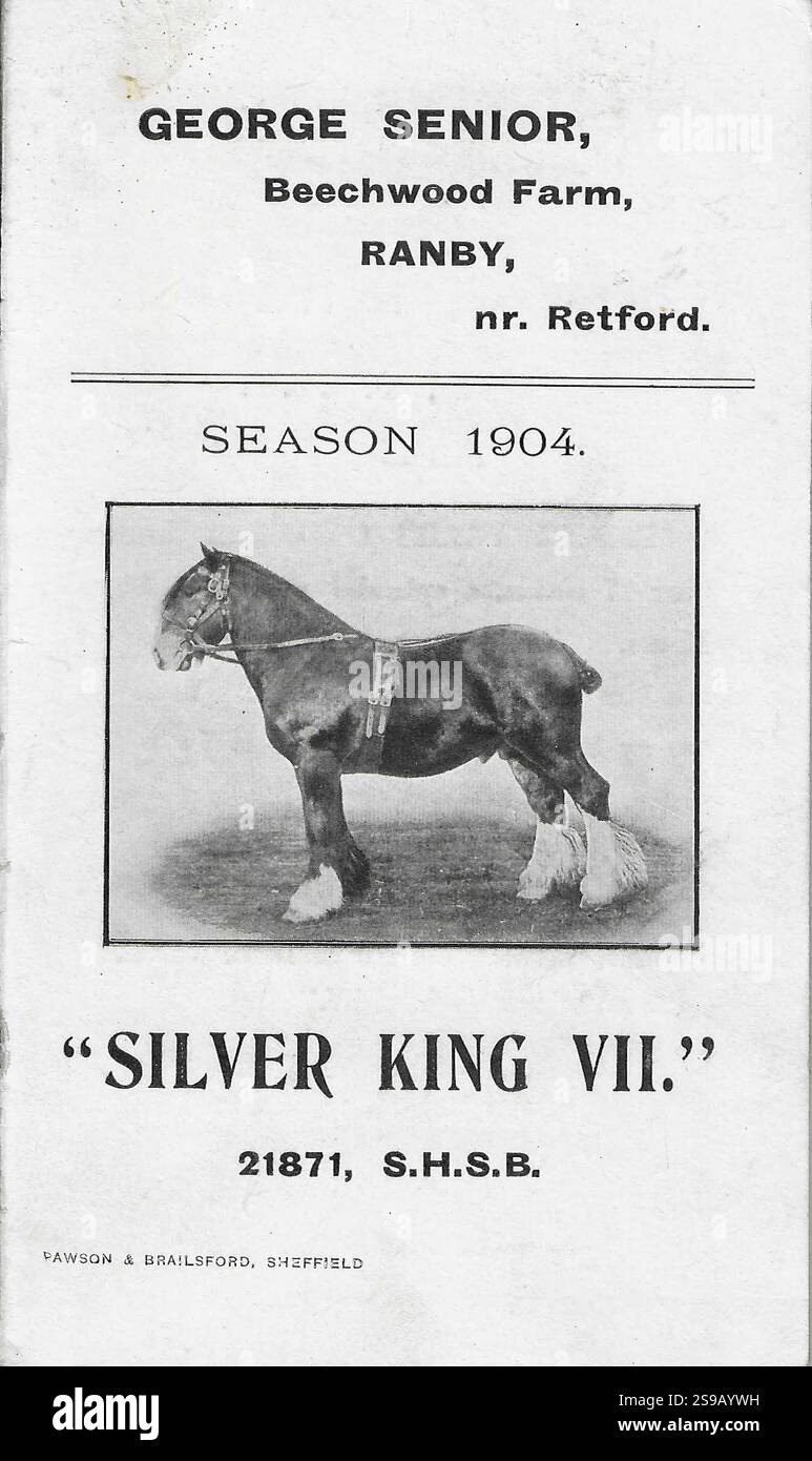 Stud card for Shire Horse Silver King VII Season 1904 owned by George ...