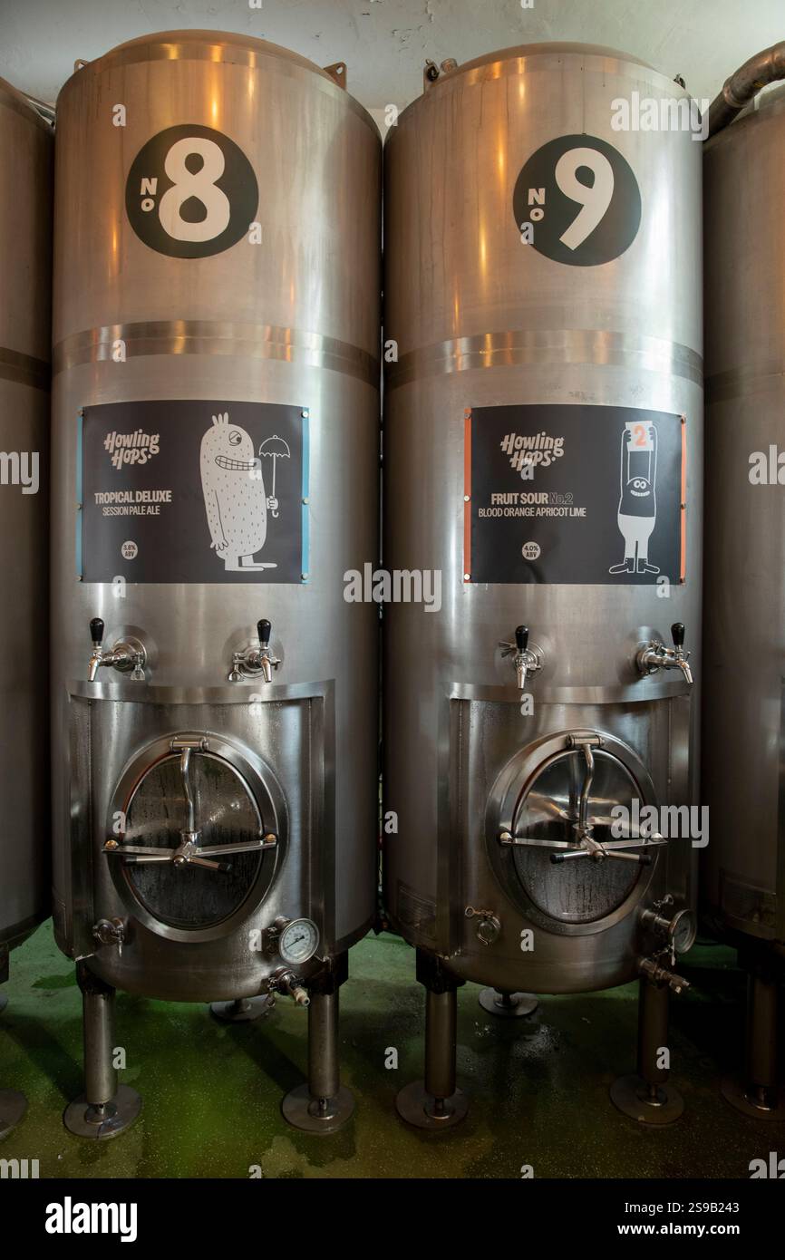 Howling Hops Brewery Taproom in Hackney Wick, East London, September ...