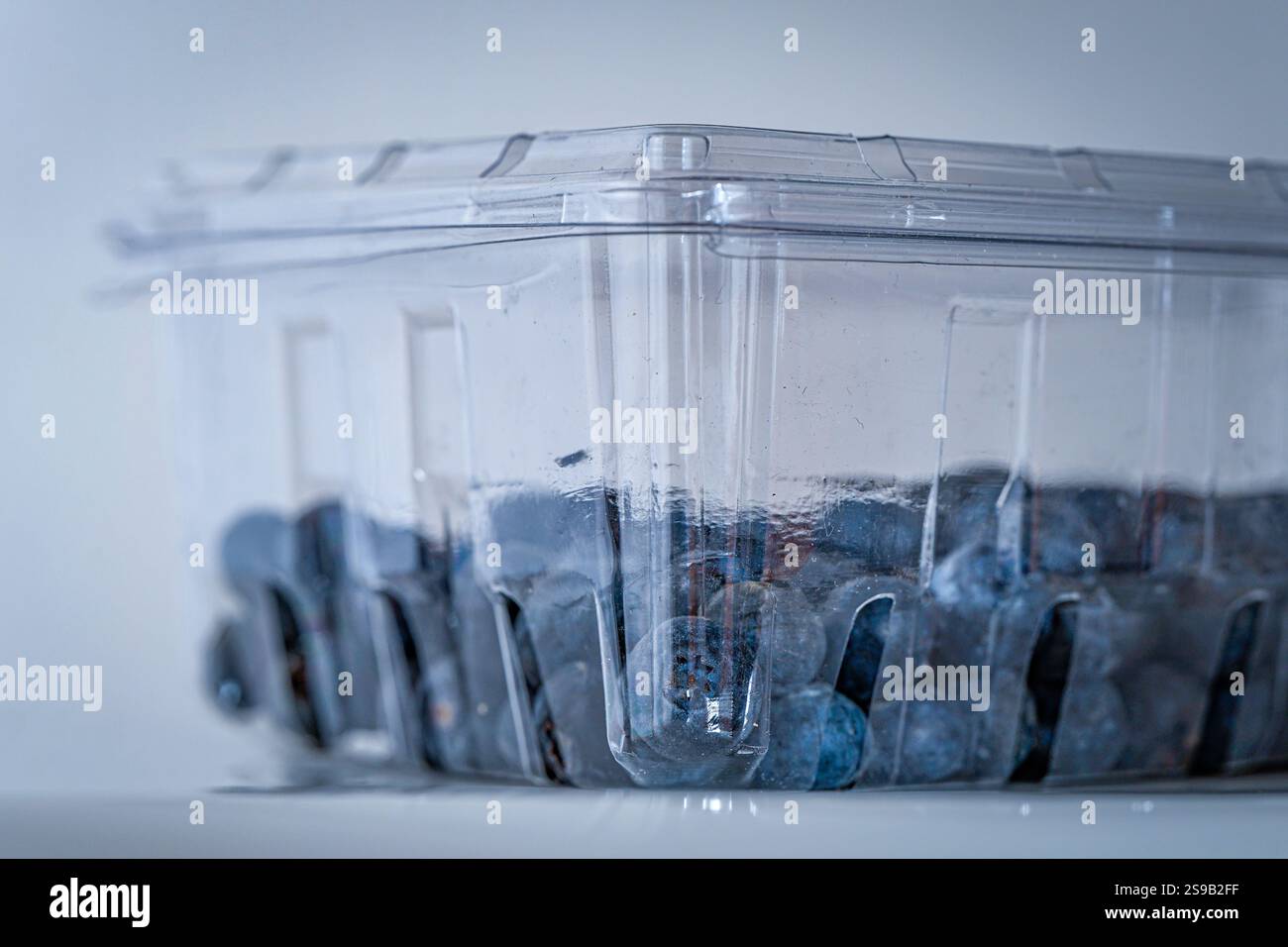 Blueberries packed in plastic container product shot isolated on white ...