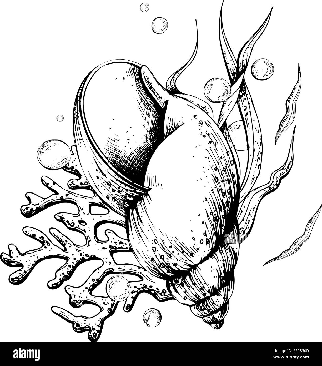 Seashell and bubbles Black and White Stock Photos & Images - Alamy