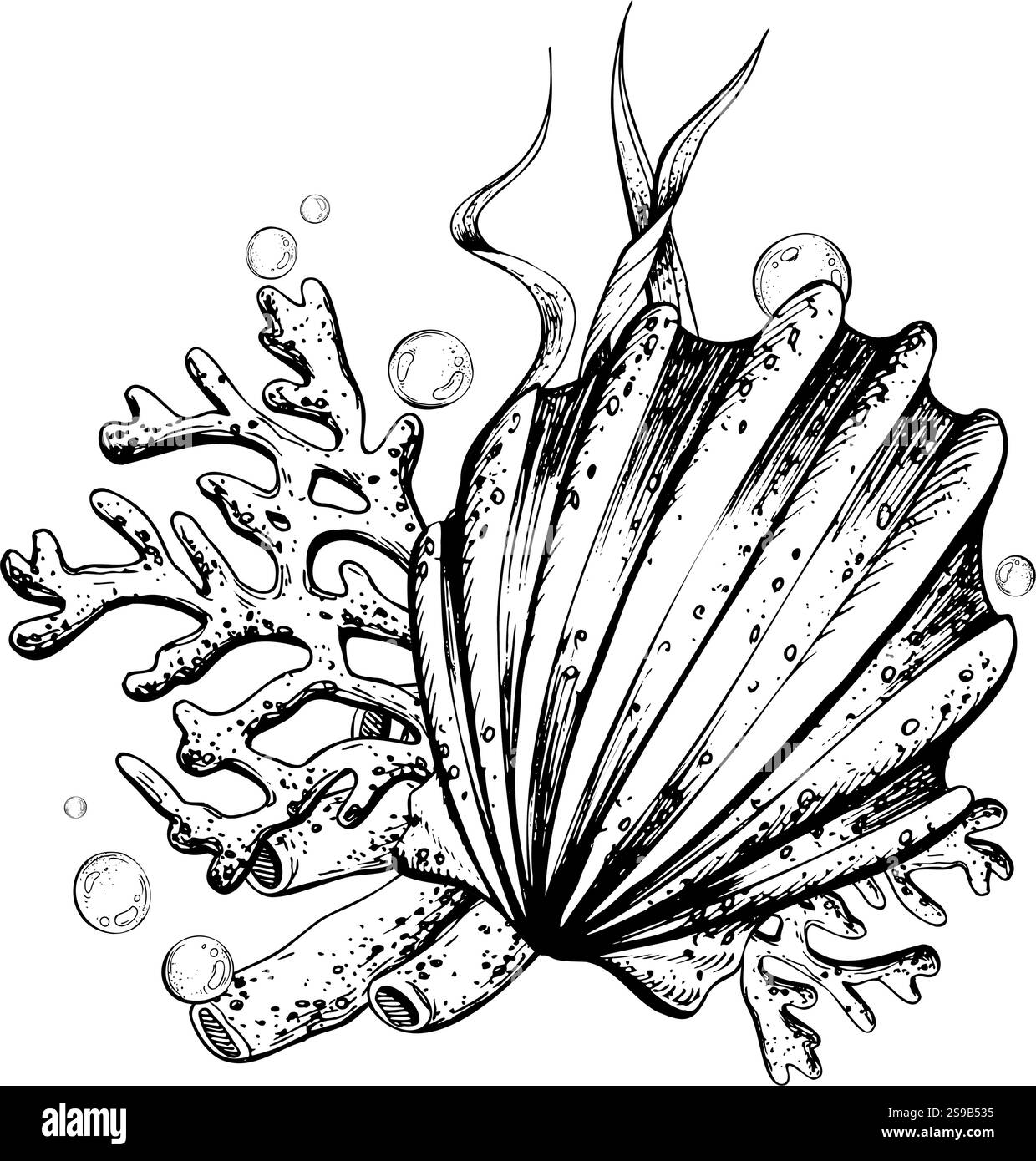 Sea shell, coral, sea sponge, algae, pebbles and bubbles. Hand drawn ...