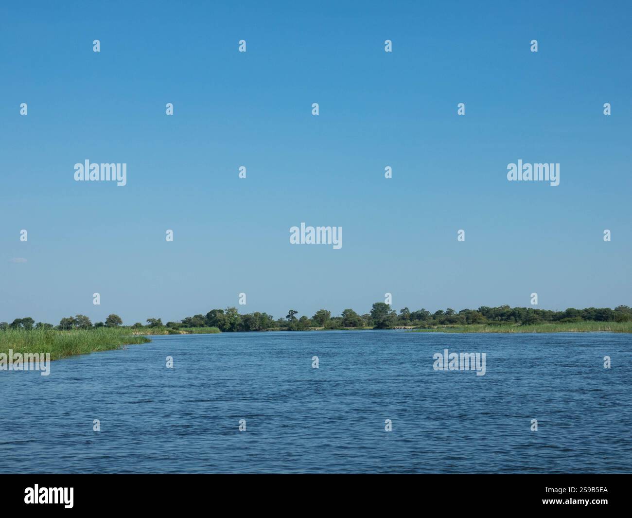 Beautiful panoramic views of the Okavango River. Green vegetation and ...