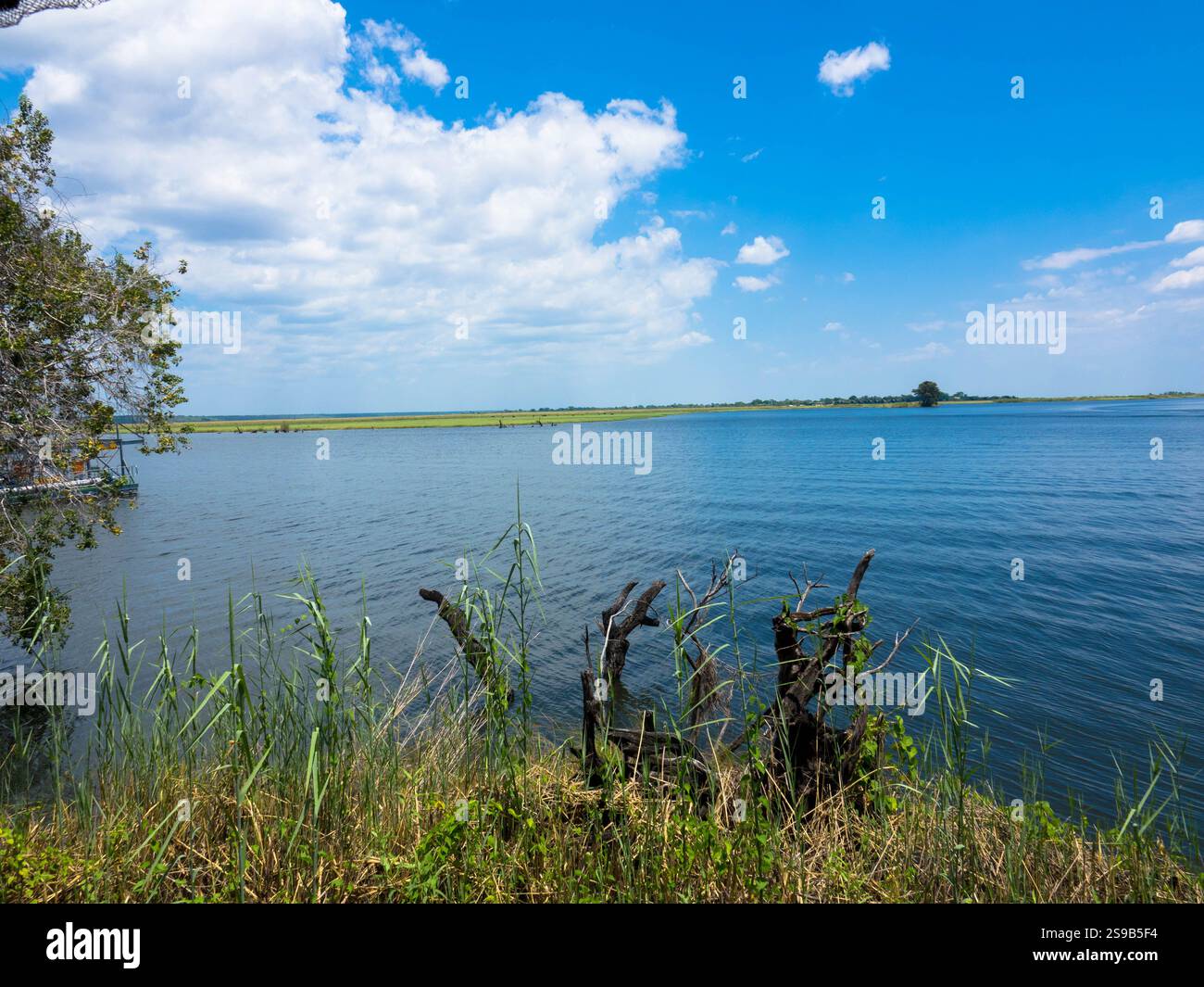 Beautiful panoramic views of the okavango river hi-res stock ...