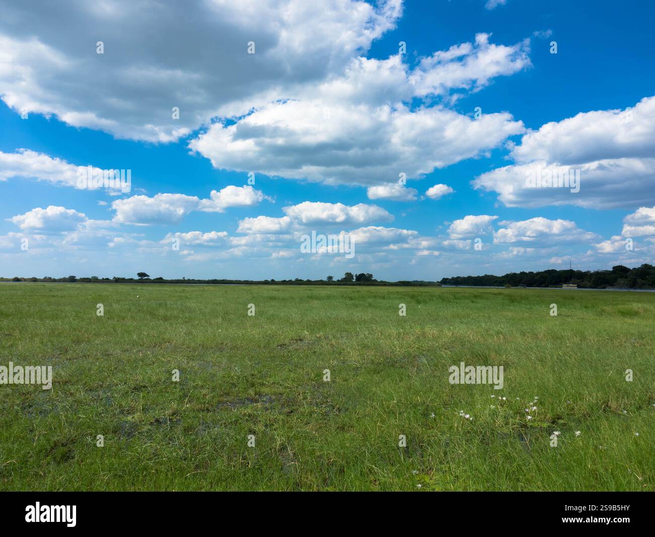 Spectacular panoramic views of the Chobe River and wetlands. Green ...