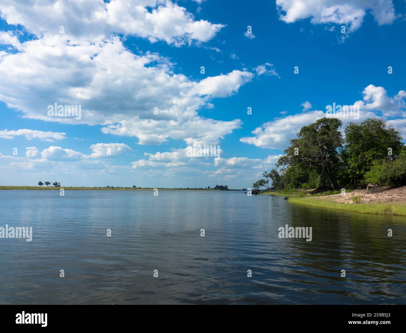 Beautiful panoramic views of the Okavango River. Green vegetation and ...