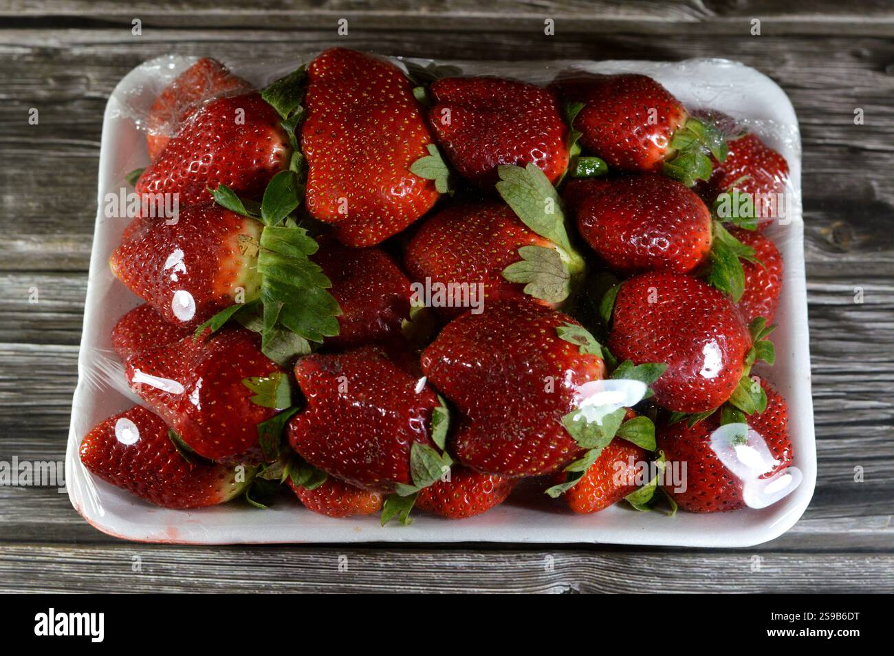 Strawberry fruit, a widely grown hybrid species of the genus Fragaria ...
