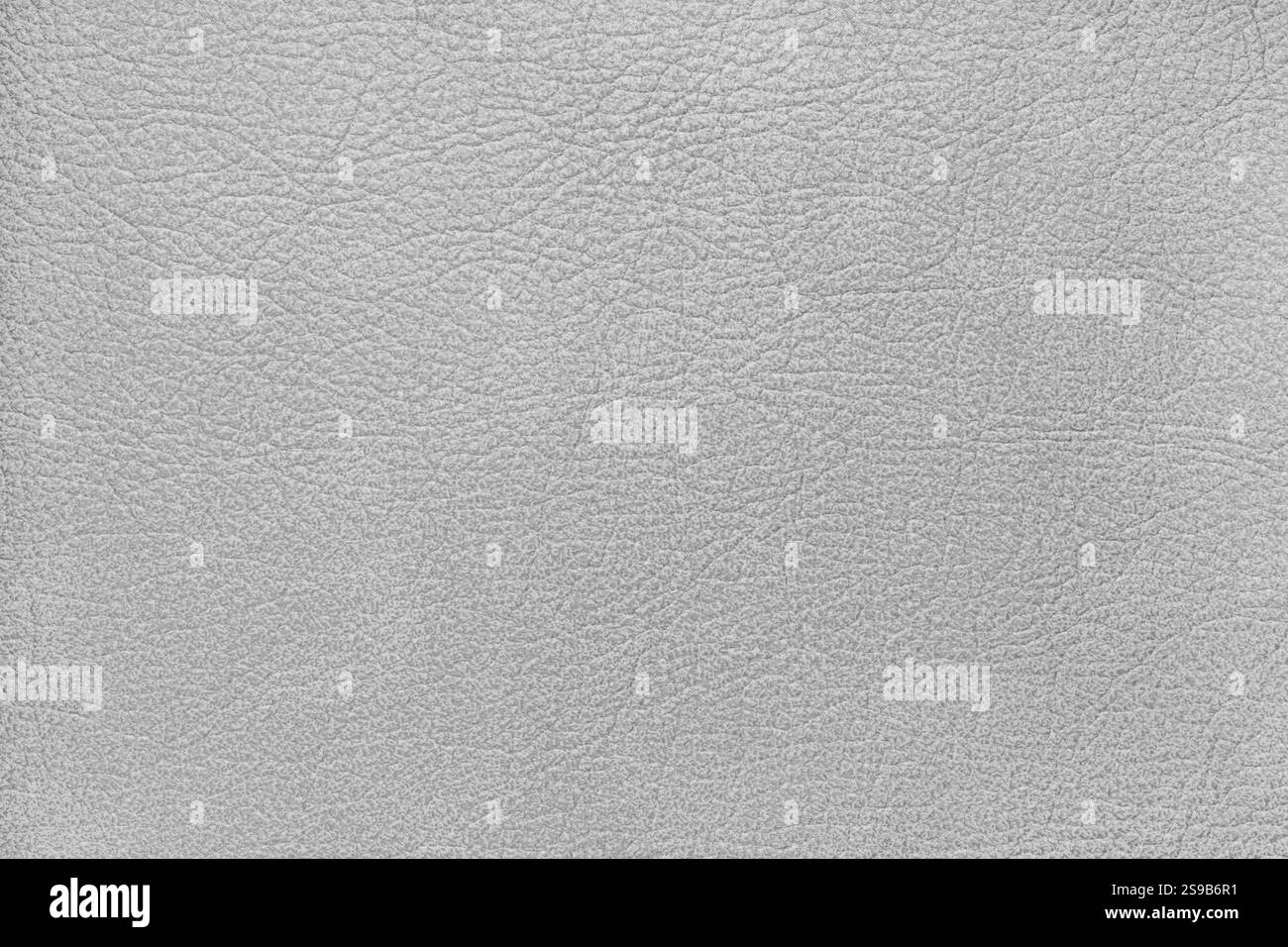 Natural, genuine solid white leather texture close up, macro. Structure ...