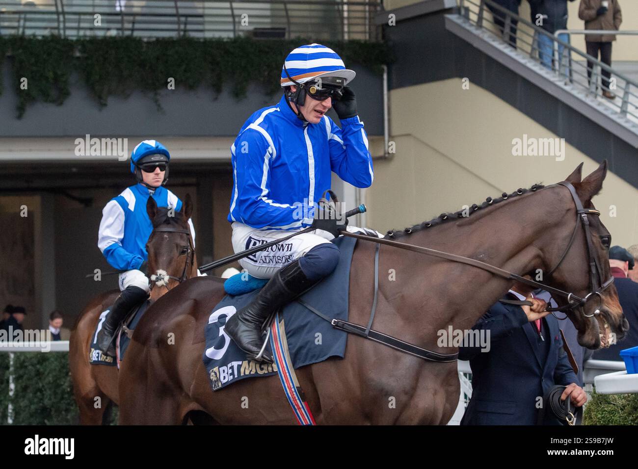 Energumene ascot hi-res stock photography and images - Alamy